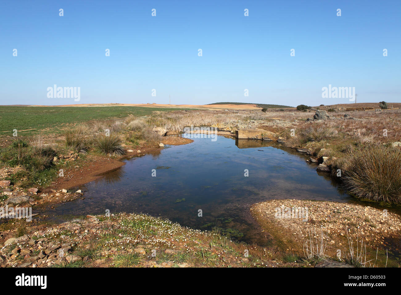 Water For The Dry Alentejo Region High Resolution Stock Photography and ...