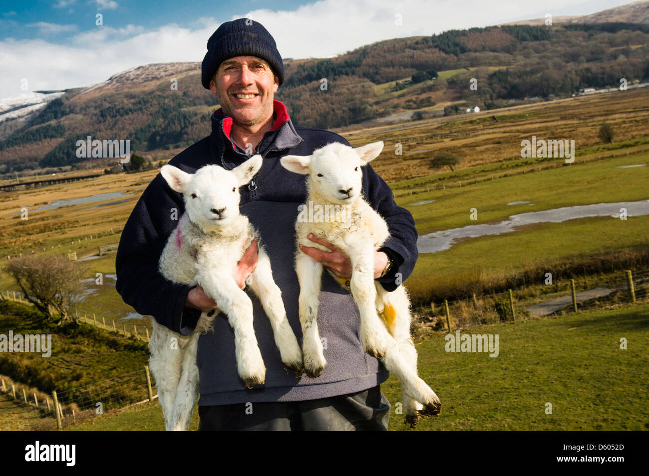 Farming agriculture mid wales landscape hi-res stock photography and ...
