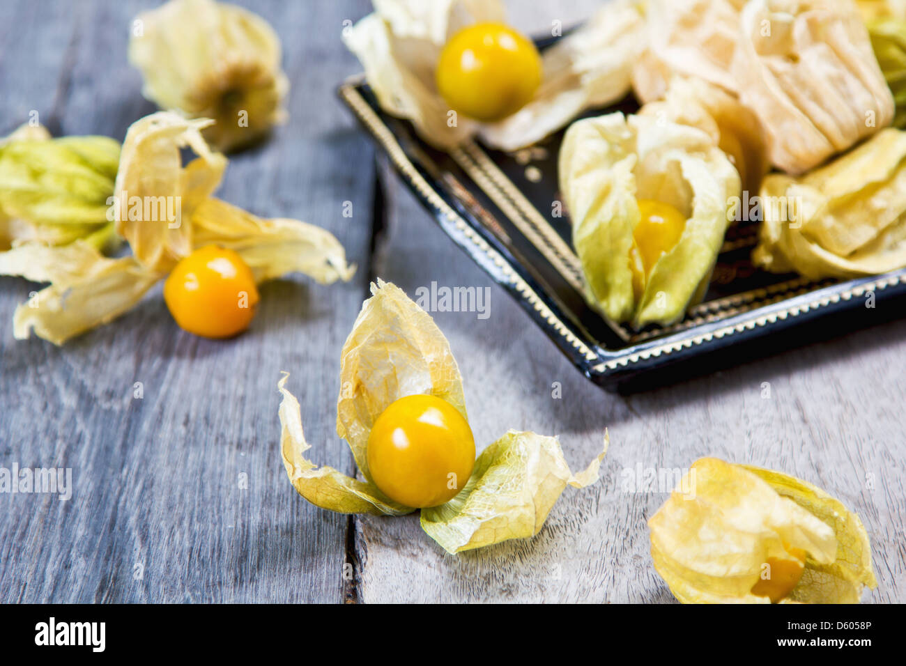 Cape Gooseberry is indigenous to South America also known as Inca berry ...