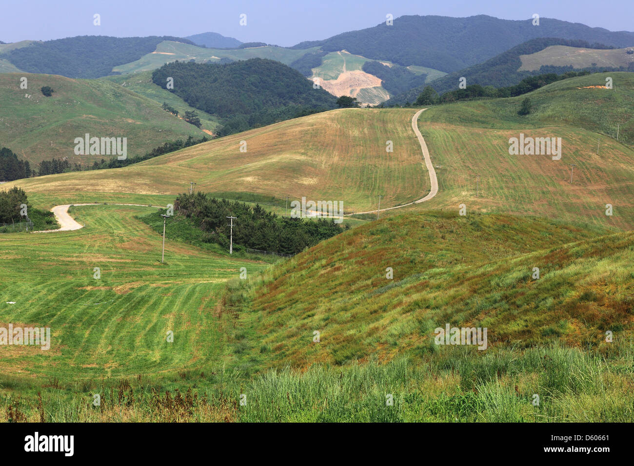 Paddock in Seosan-si Korea Stock Photo - Alamy