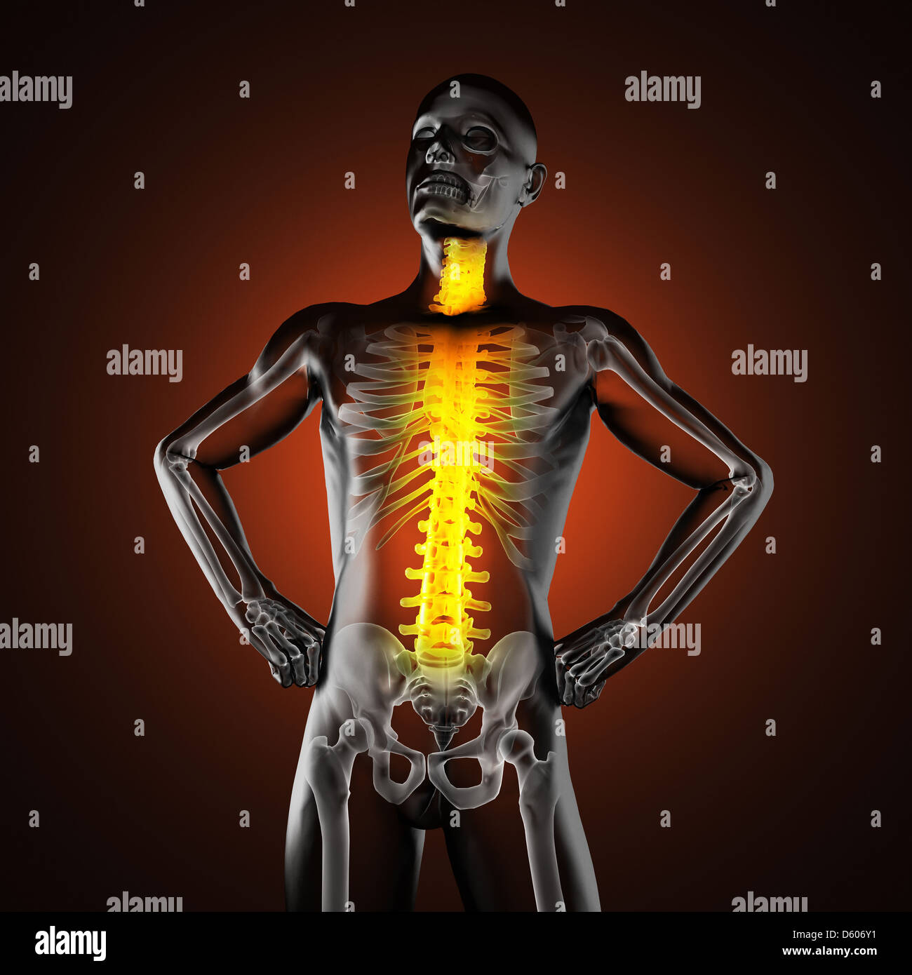 human radiography scan Stock Photo - Alamy