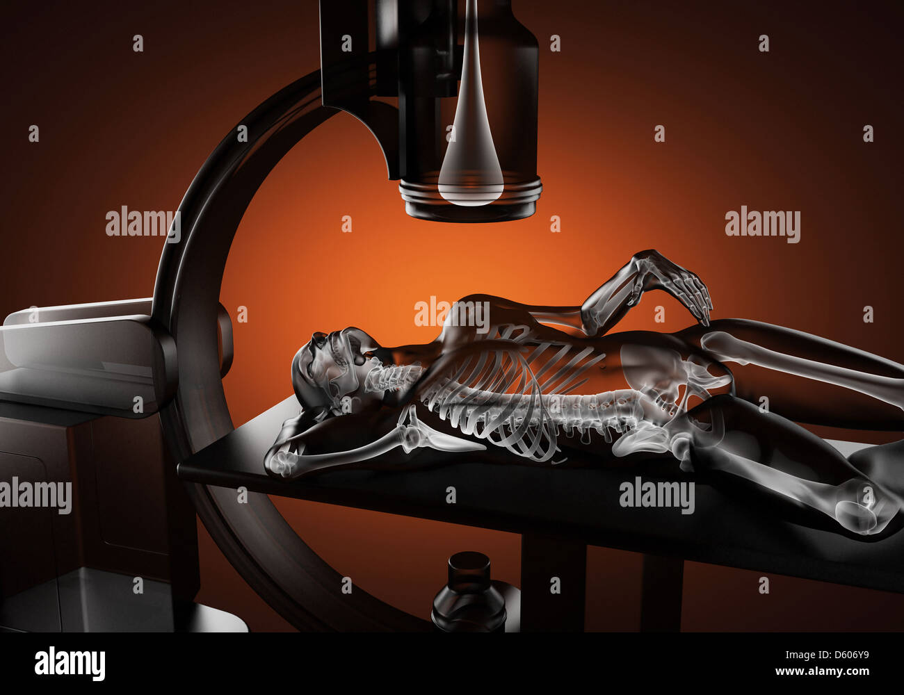 Anatomical examination hi-res stock photography and images - Alamy