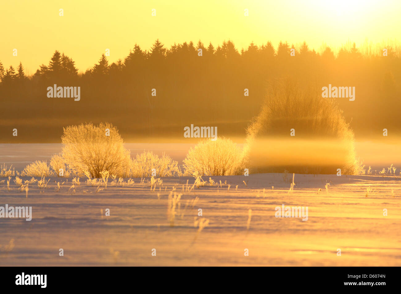 Cold morning mist hi-res stock photography and images - Alamy