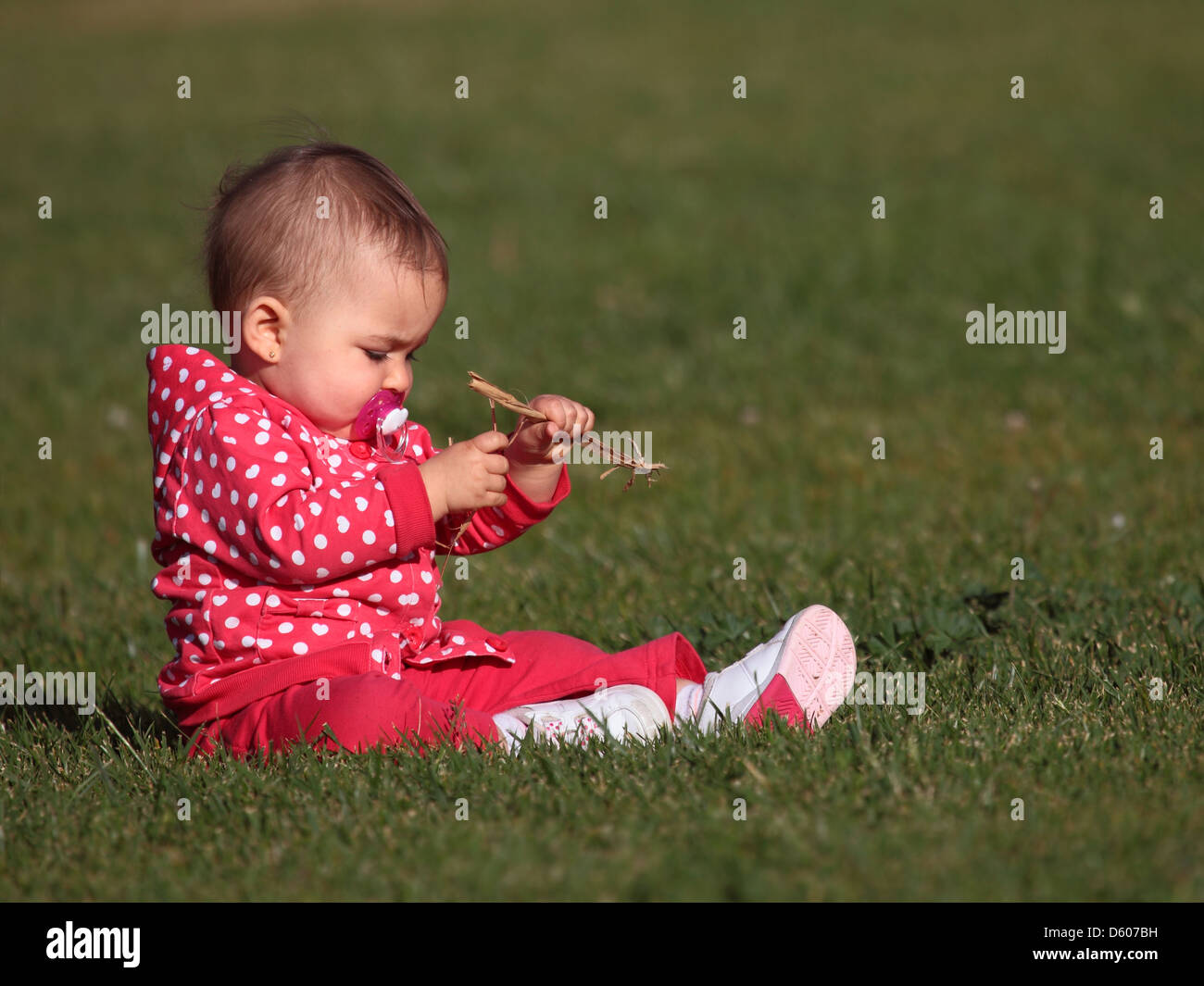 A beautiful child playing in the grass Stock Photo - Alamy