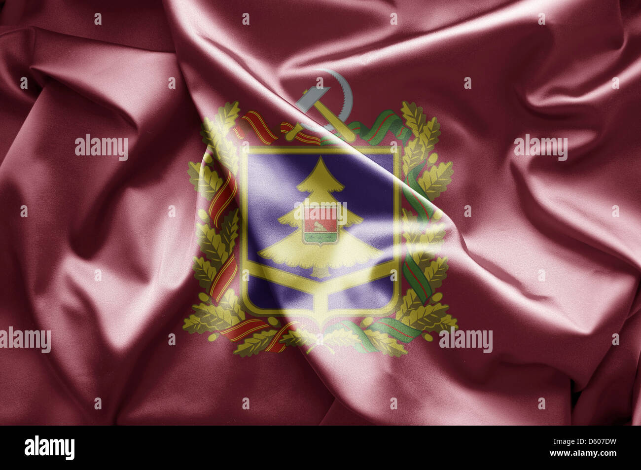 Flag of Bryansk (Russia Stock Photo - Alamy