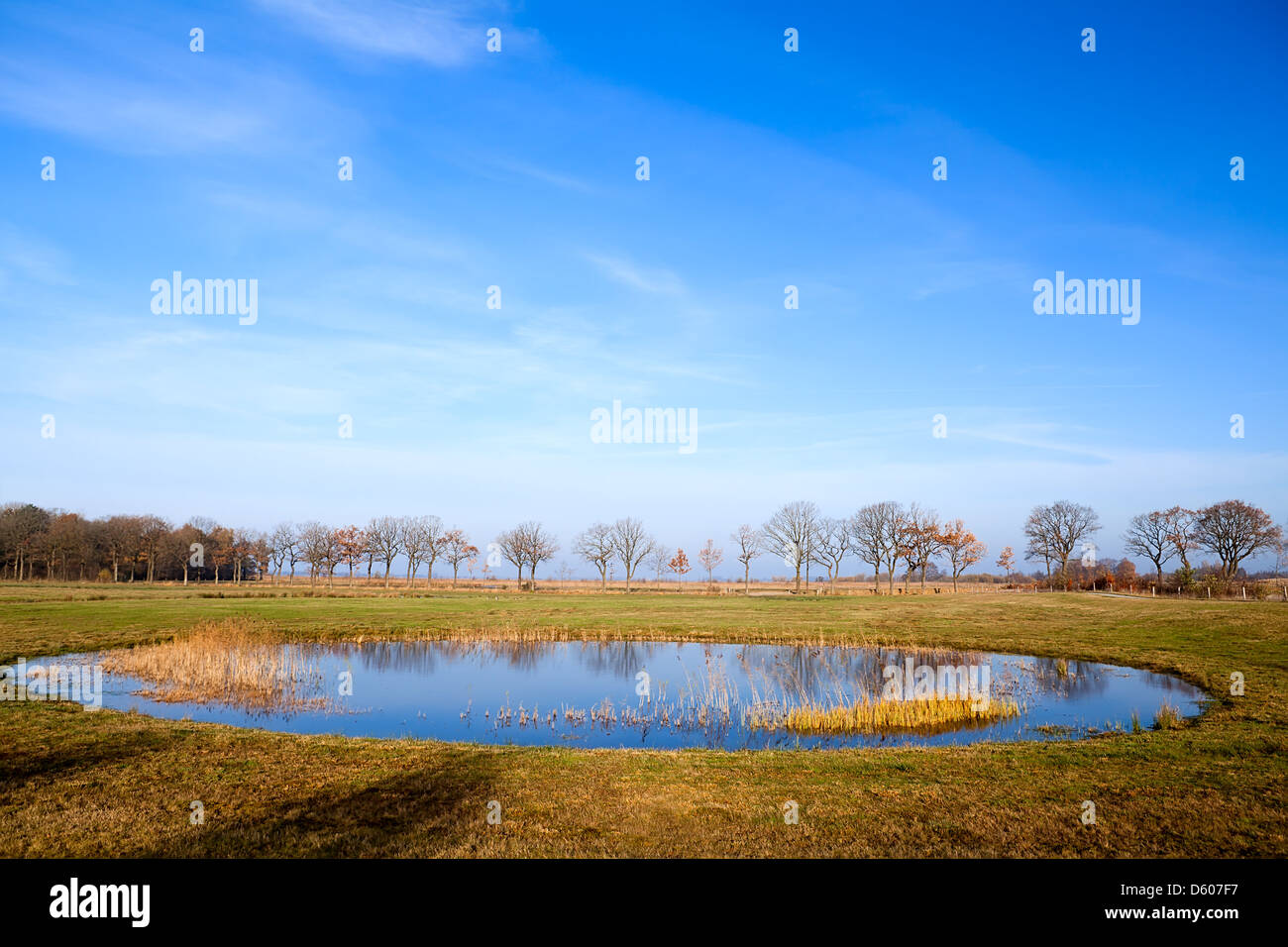 round shaped little pond Stock Photo - Alamy