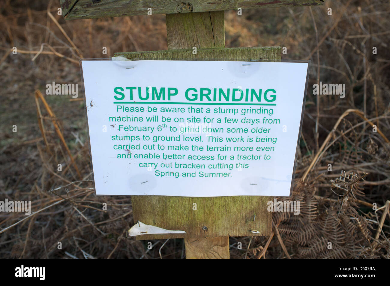 Stump Grinding Sign