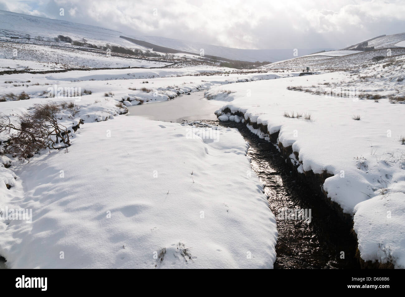 Snaizeholme beck in the Yorkshire Dales national Park Stock Photo - Alamy