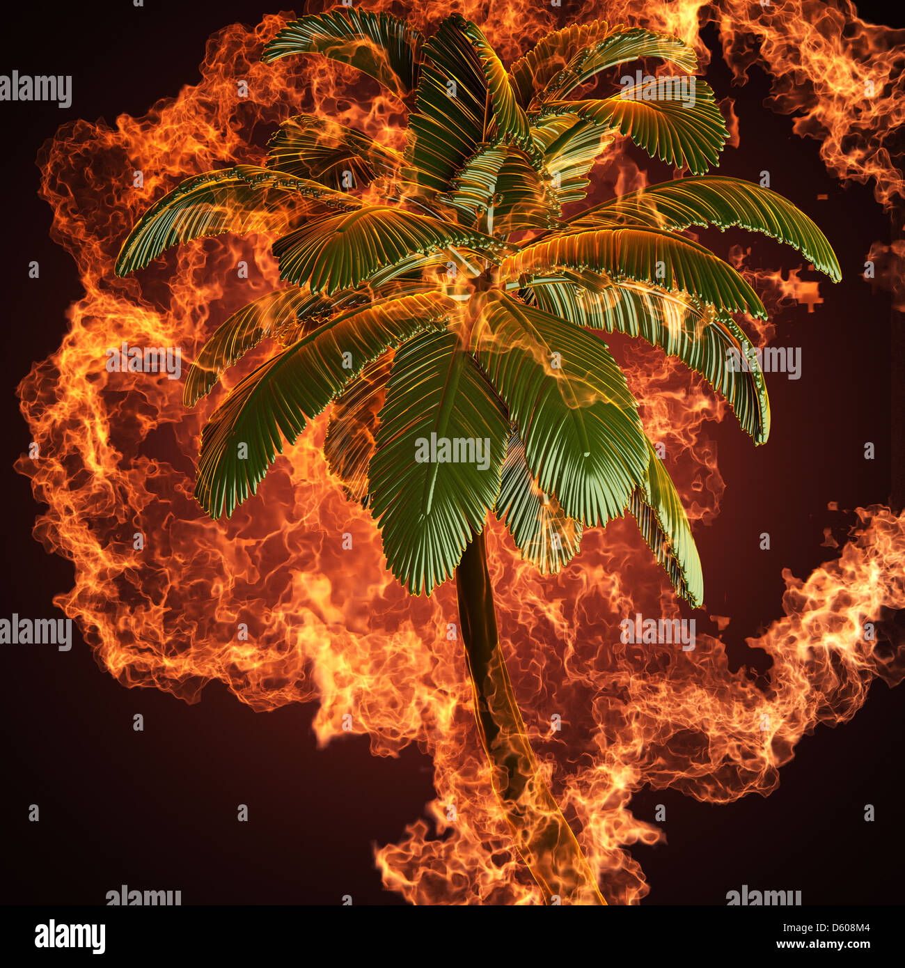 Fire palm hi-res stock photography and images - Alamy