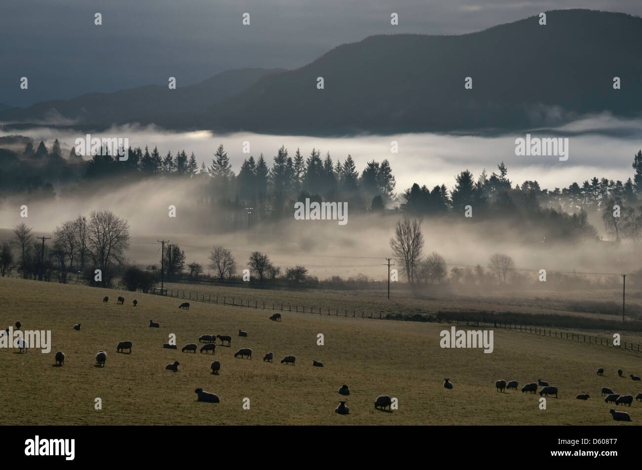 Damp eerie atmosphere scotland hi-res stock photography and images - Alamy