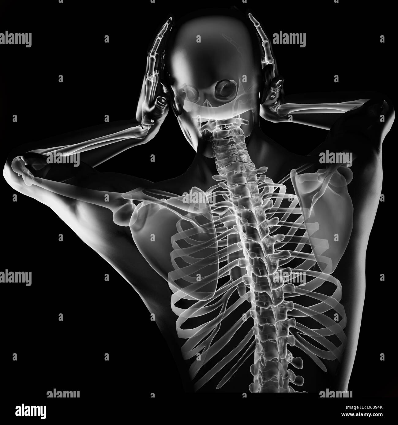 human radiography scan Stock Photo - Alamy