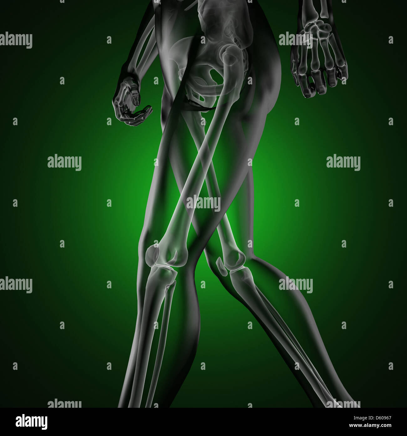 human radiography scan Stock Photo - Alamy