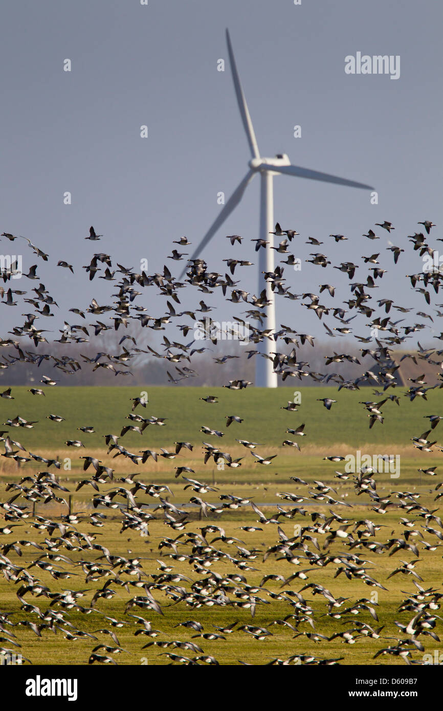 Airborne wind turbine hi-res stock photography and images - Alamy