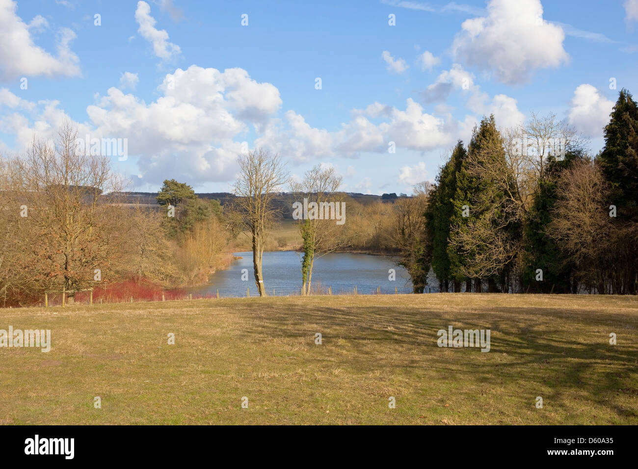 Scenic springtime landscape with a small lake surrounded by trees and ...