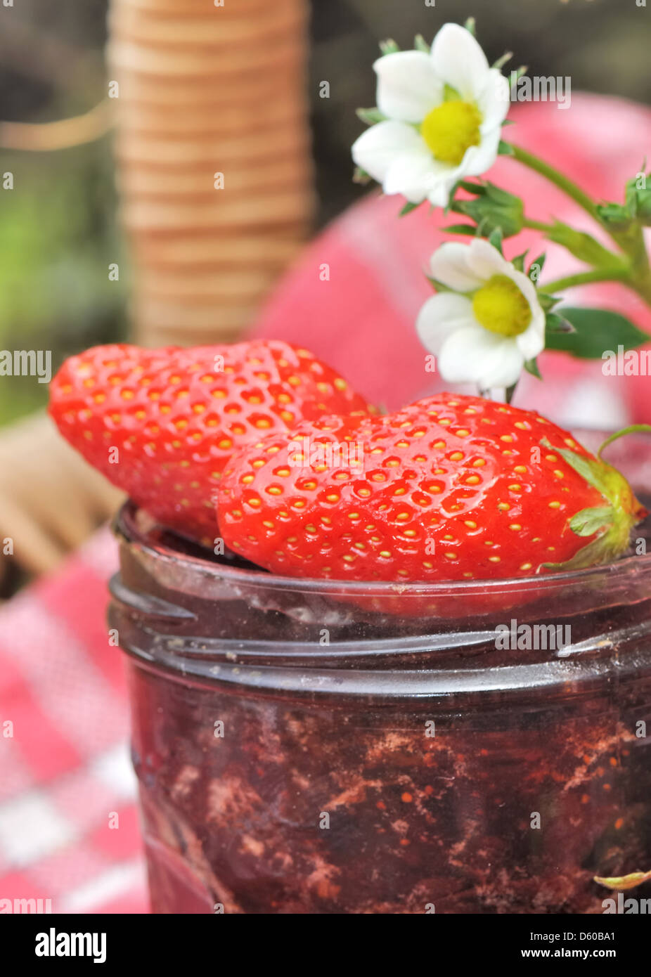 good strawberries from the garden for homemade jam Stock Photo - Alamy