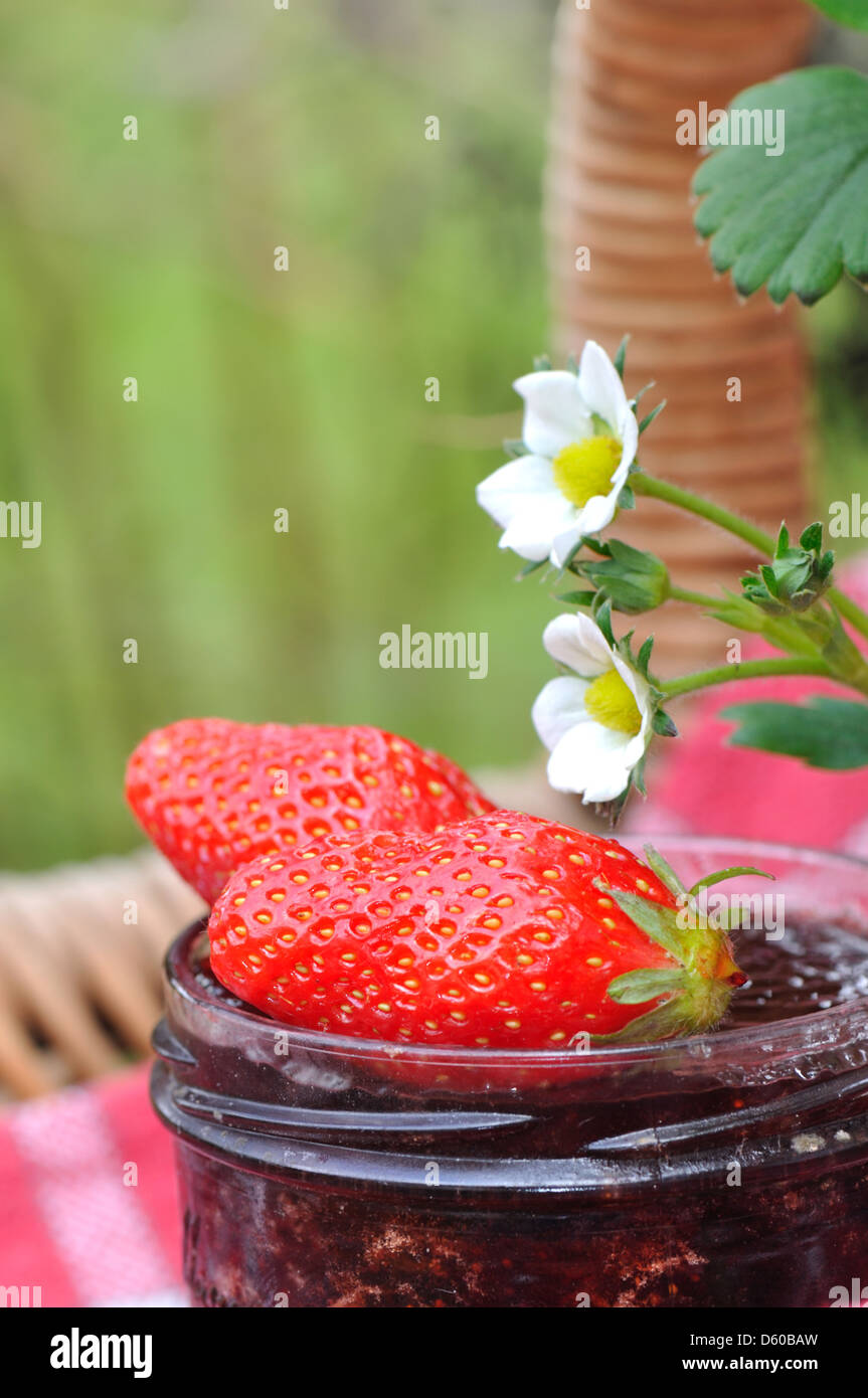 Strawberries from the garden hi-res stock photography and images - Alamy