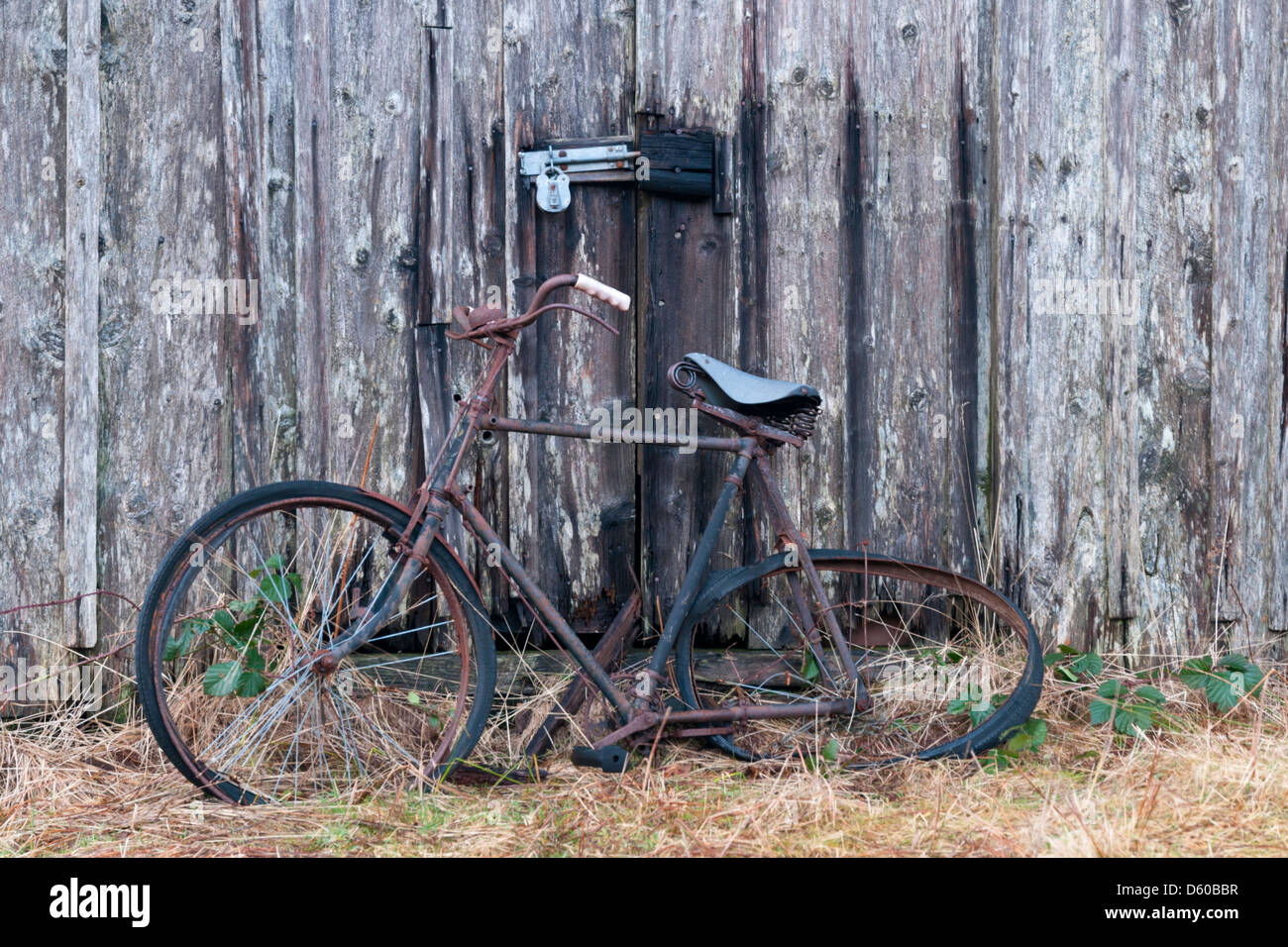 Rusty bike by shed doors Stock Photo - Alamy