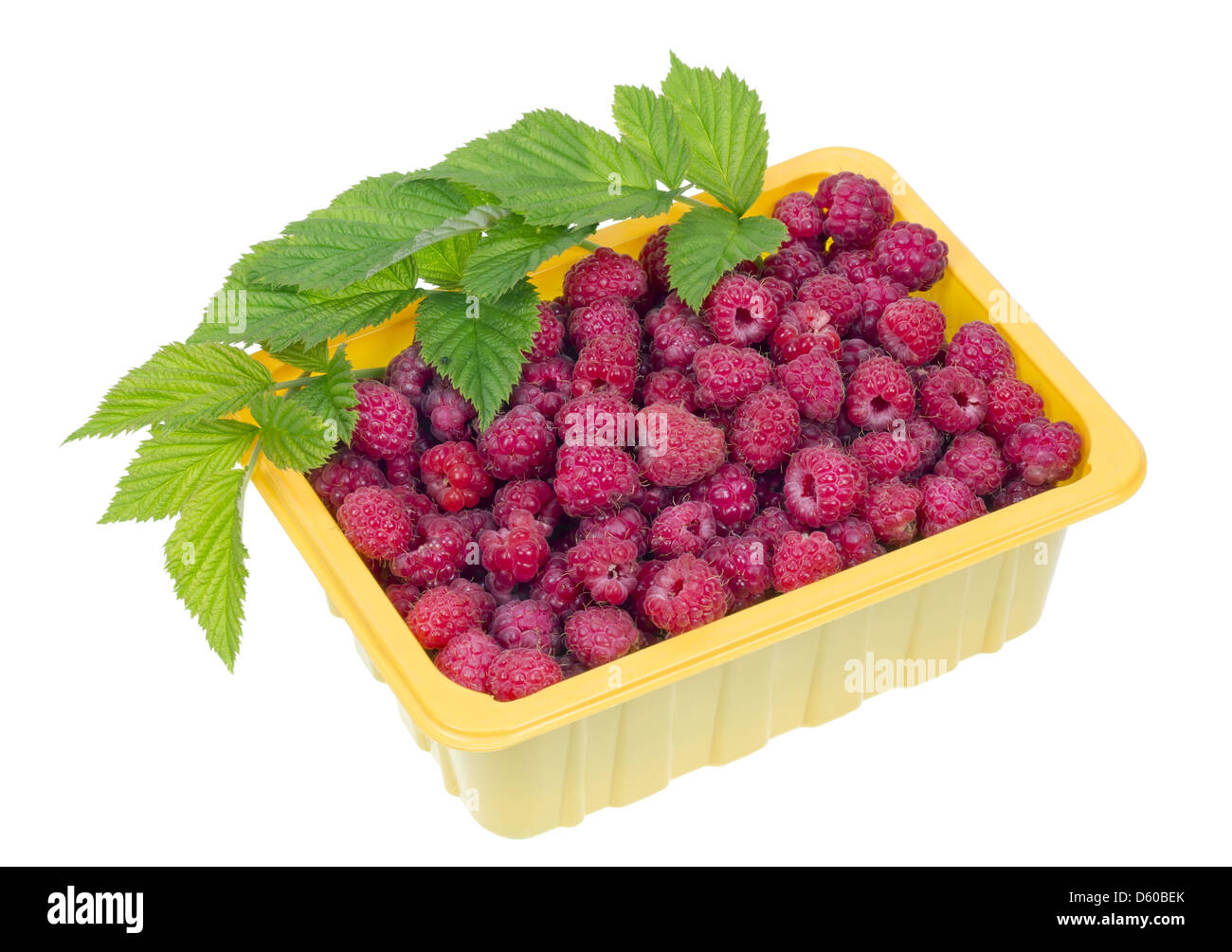 Plastic plant container hi-res stock photography and images - Alamy