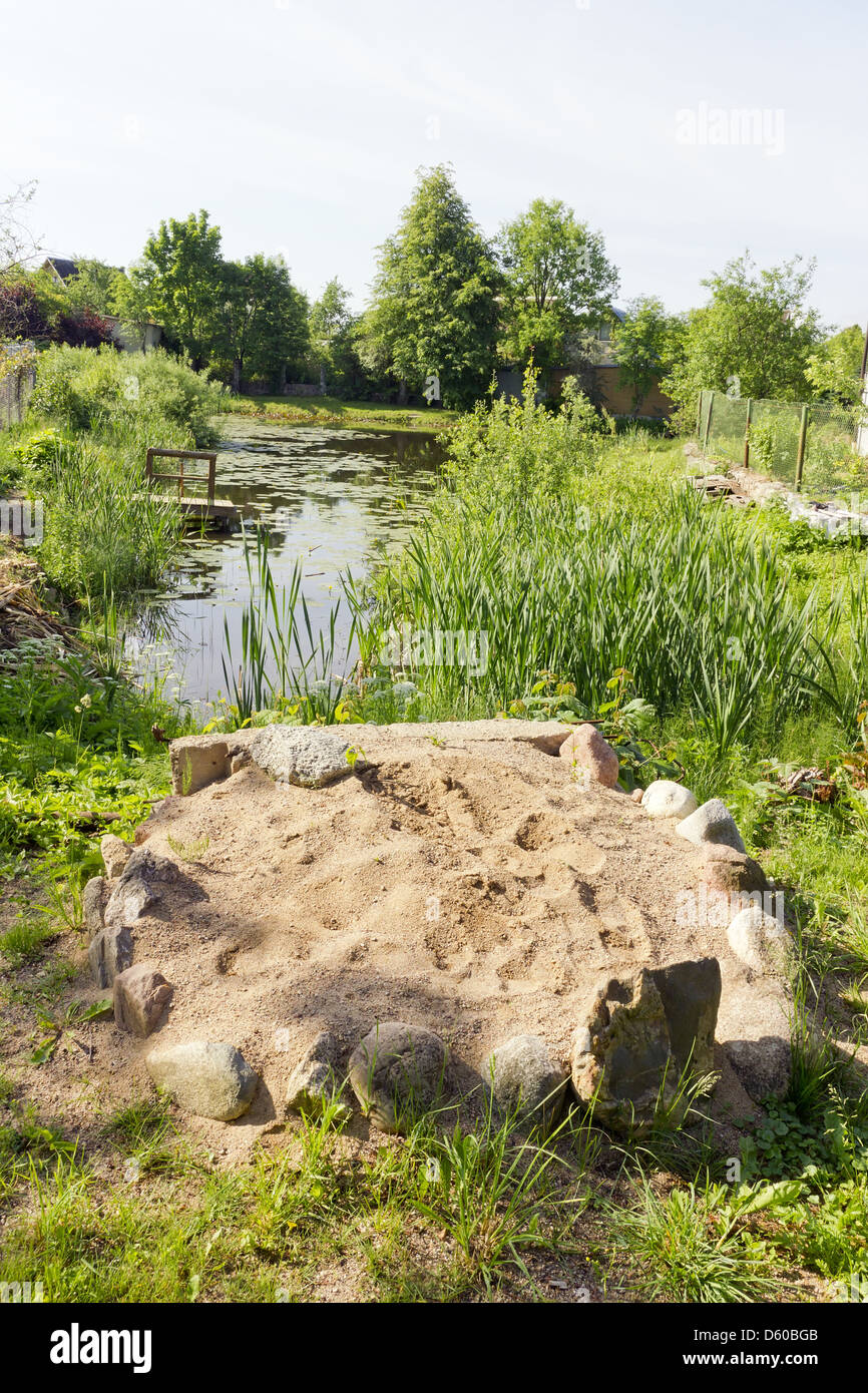 Sandbox tree hi-res stock photography and images - Alamy