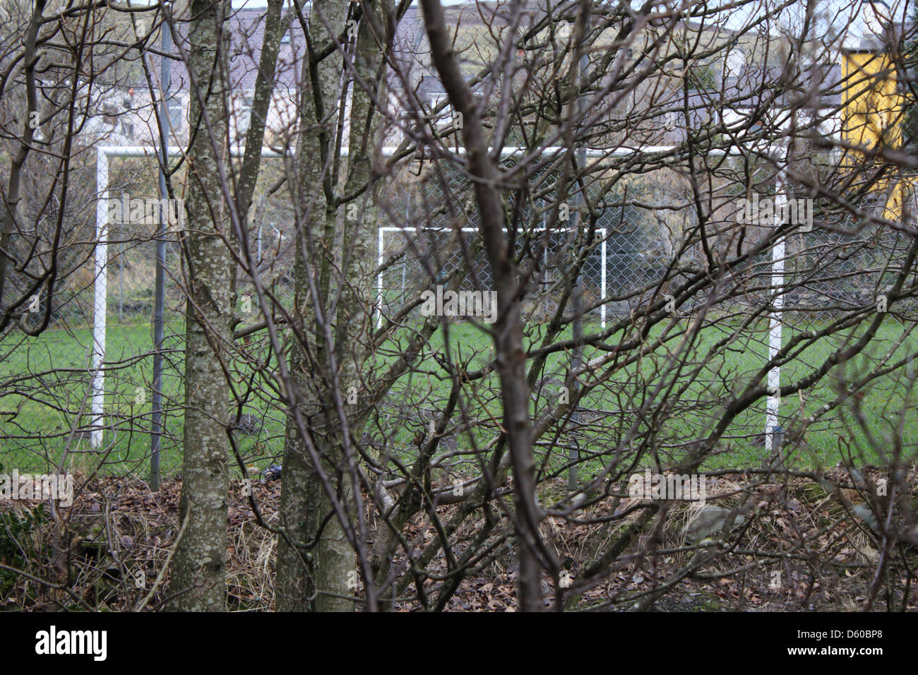 football field seen through trees in deiniolen, wales, great britain uk ...