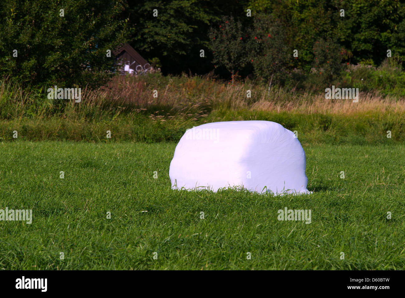 Bale on a field Stock Photo - Alamy