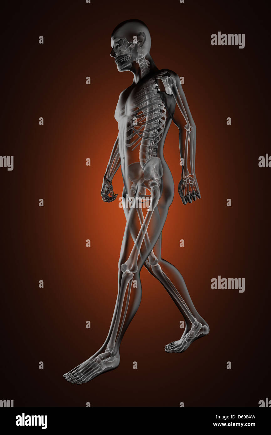 walking man radiography Stock Photo - Alamy