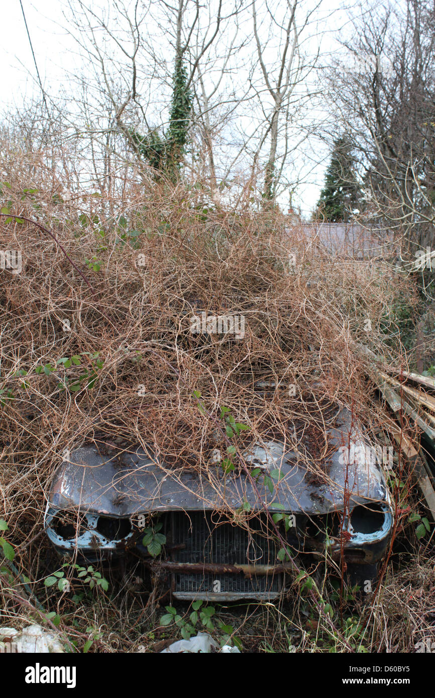 old car decaying in field in countryside Stock Photo - Alamy