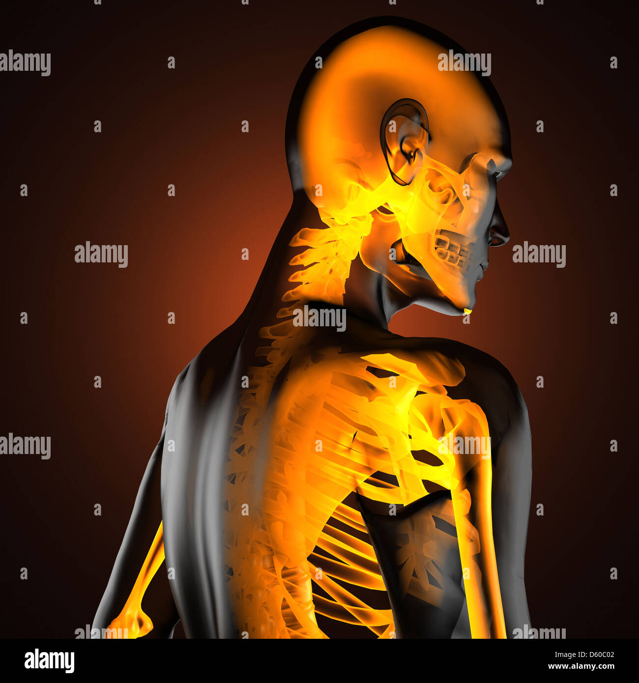 human radiography scan Stock Photo - Alamy