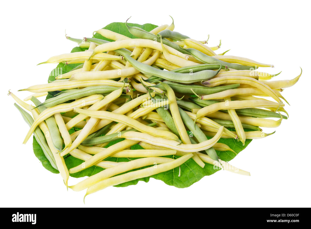 String group Cut Out Stock Images & Pictures - Alamy