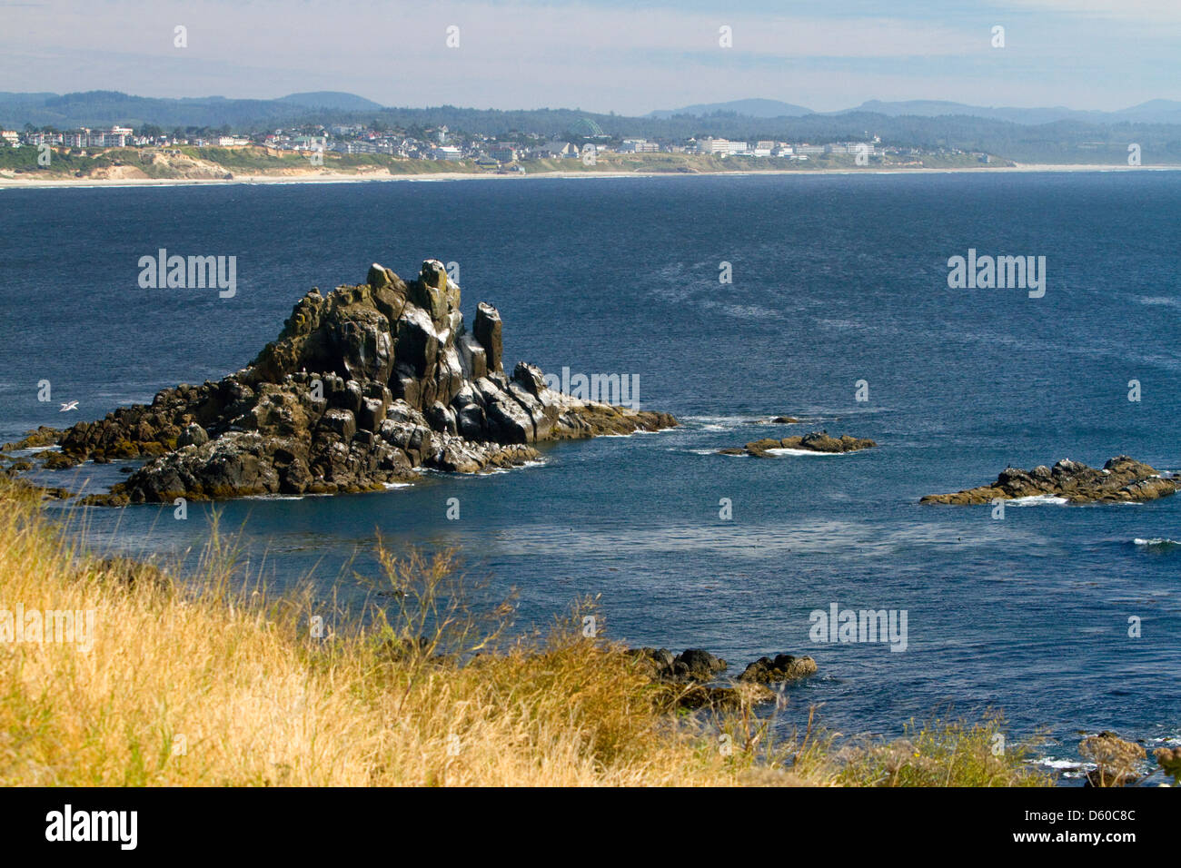 The Pacific Ocean coast at Newport, Oregon, USA Stock Photo - Alamy