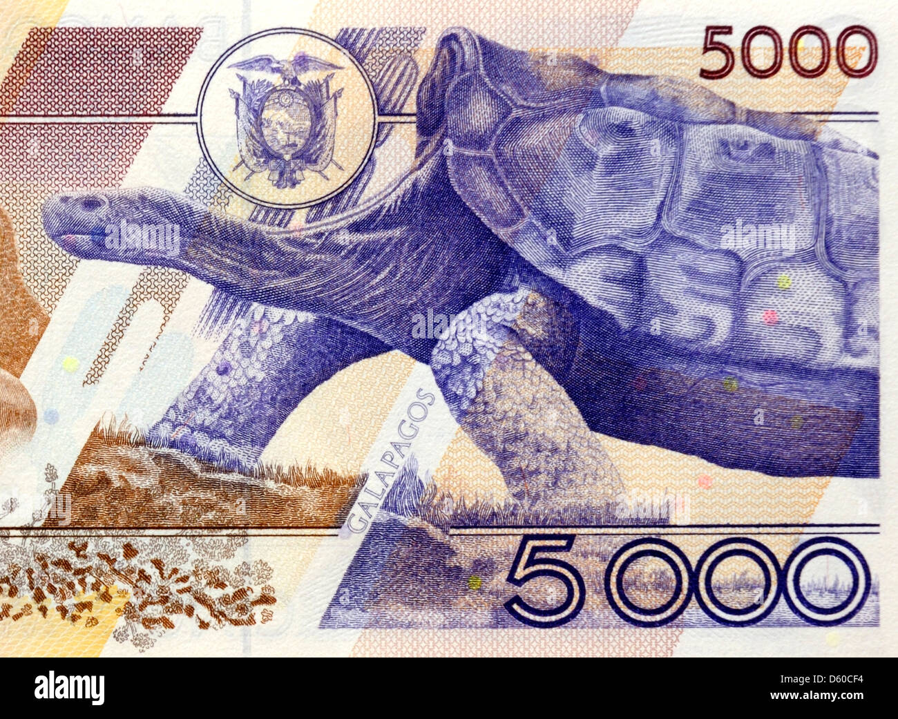 Ecuador 5000 Five Thousand Sucres Bank Note Stock Photo - Alamy