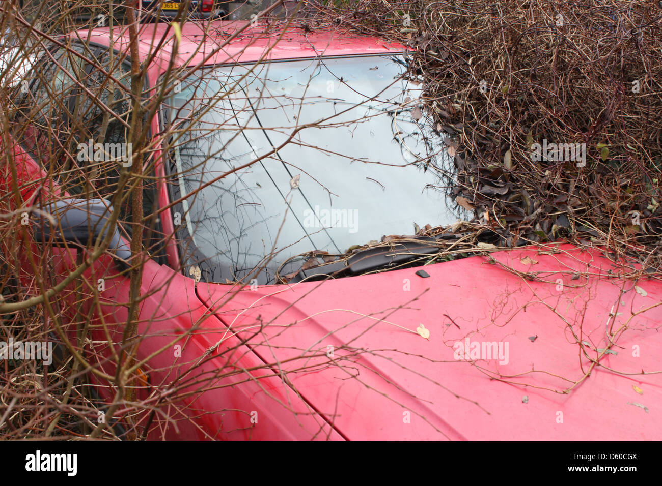 Rusty car in long grass hi-res stock photography and images - Alamy