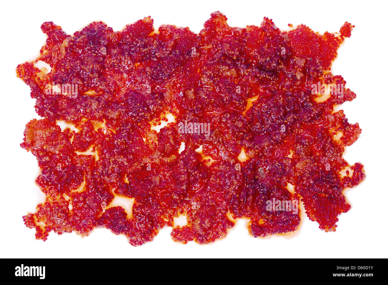 Nature spot Cut Out Stock Images & Pictures - Alamy