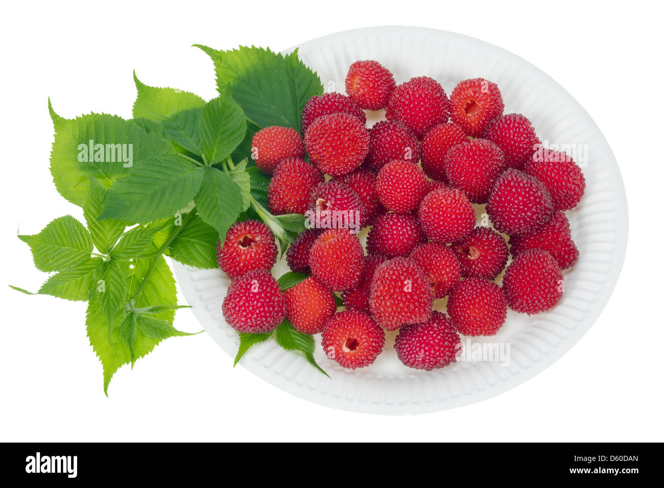 red berries on white paper plate Stock Photo - Alamy