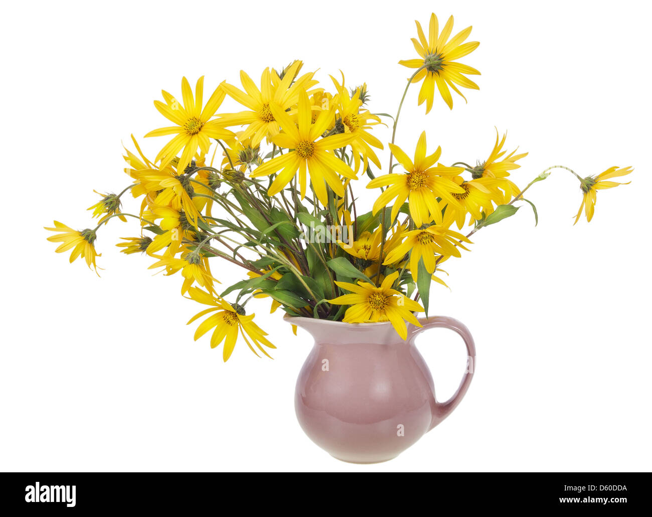 Yellow only hi-res stock photography and images - Alamy