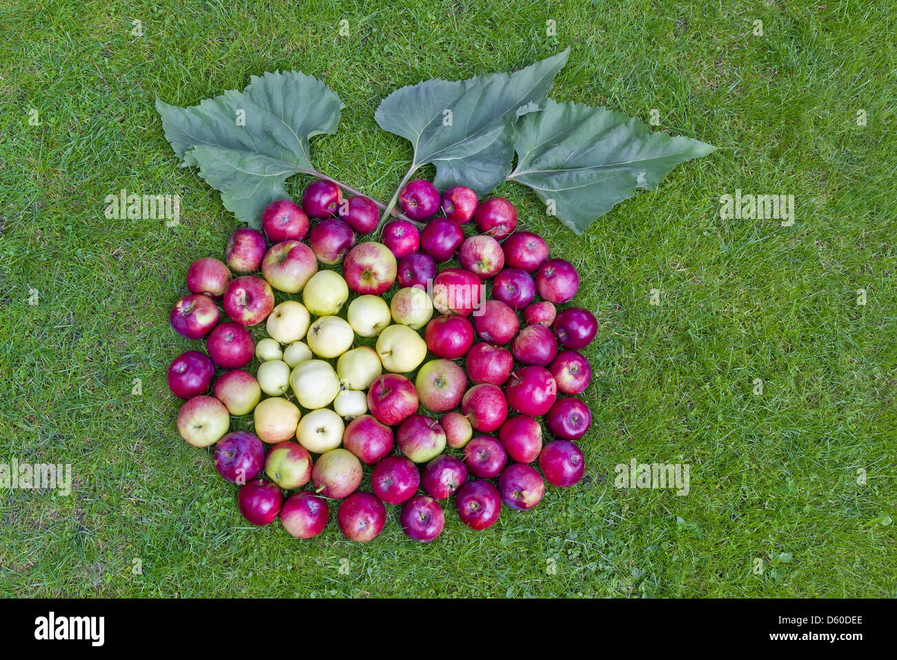 Spotted apple hi-res stock photography and images - Alamy