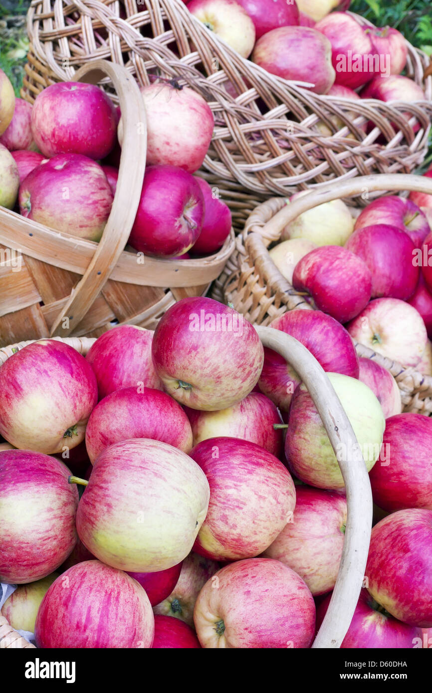 Red sweet apples in baskets Stock Photo - Alamy