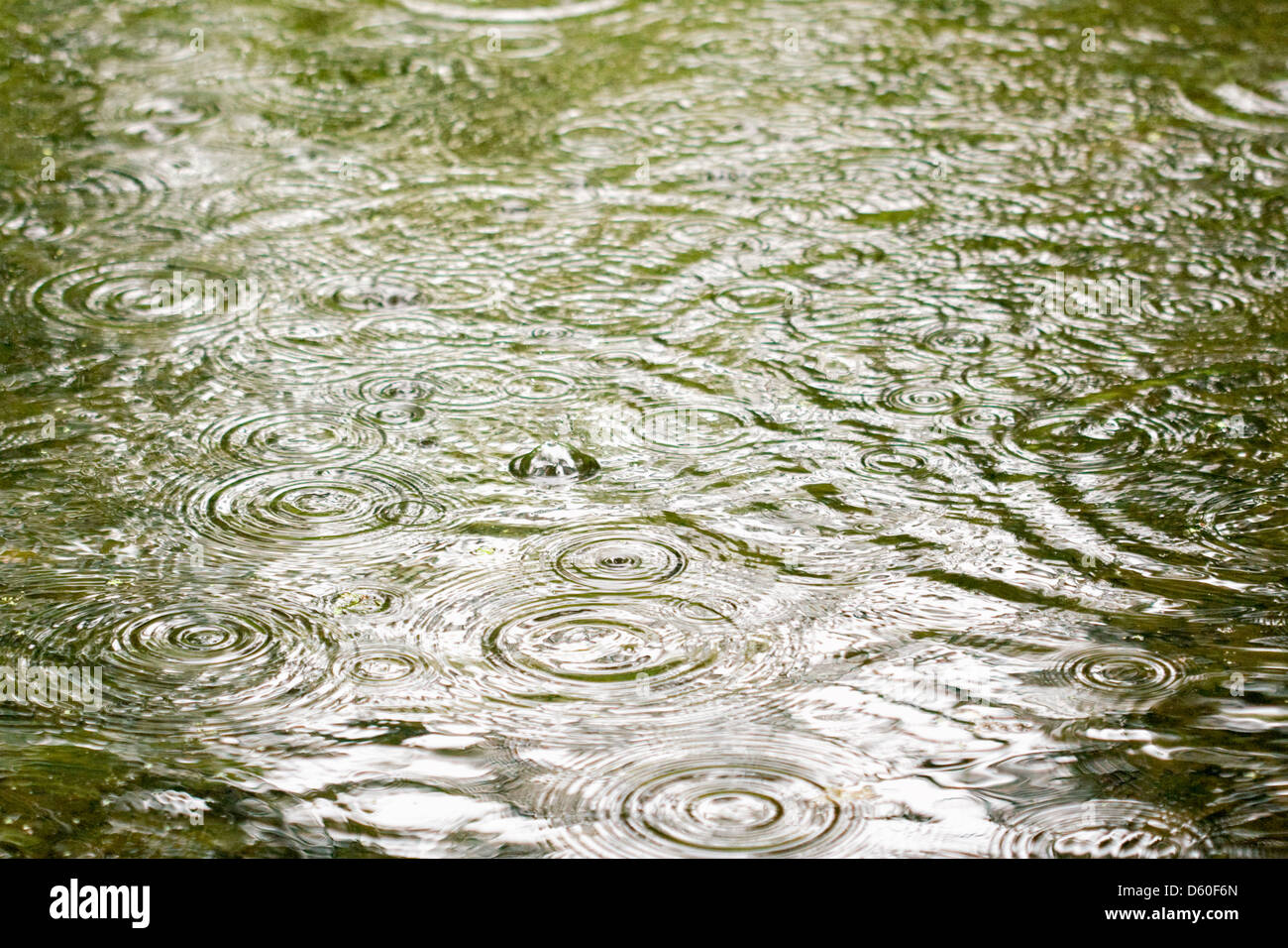 Rain Drops Falling Puddle In High Resolution Stock Photography and ...