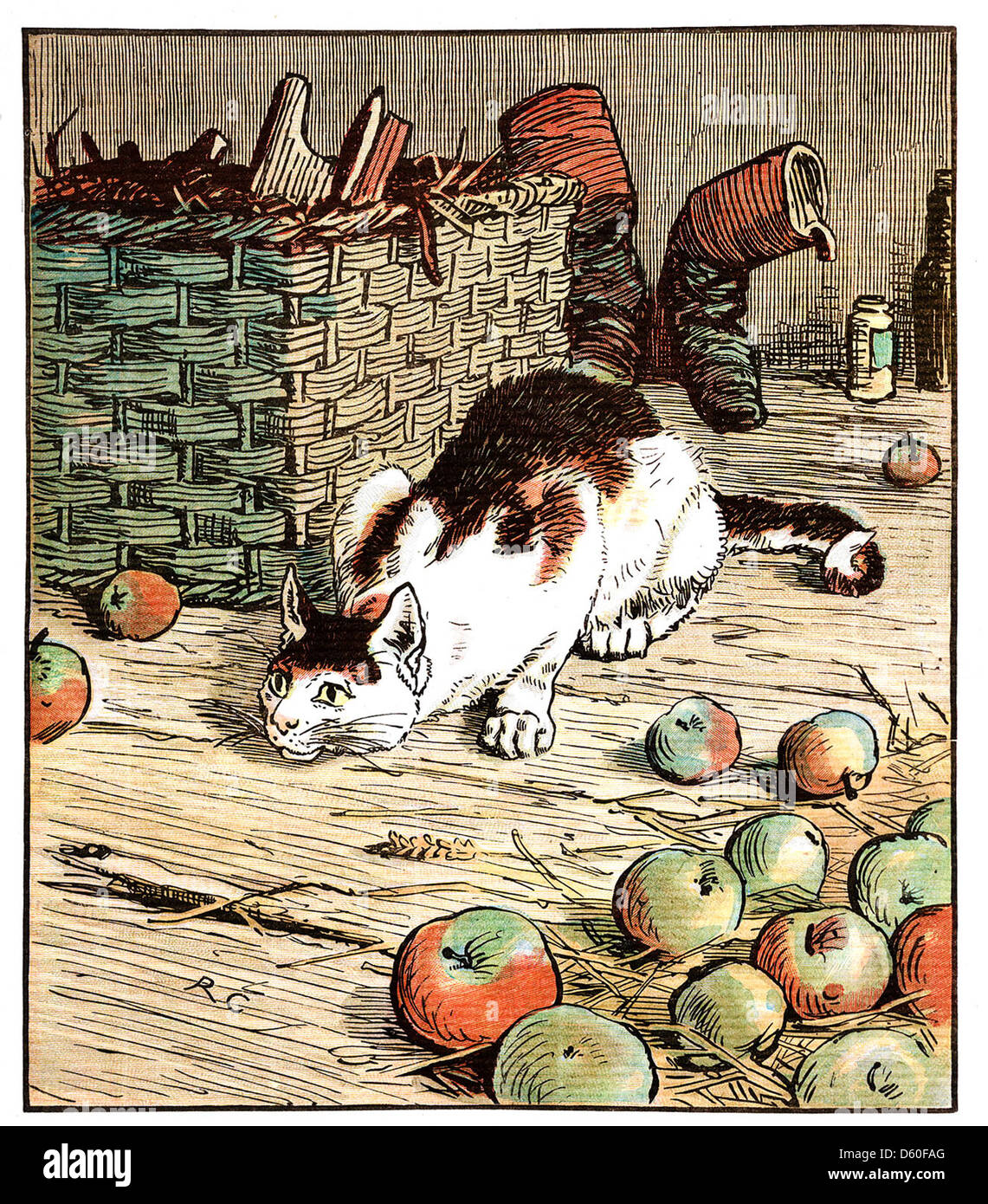 Caldecott cat hi-res stock photography and images - Alamy