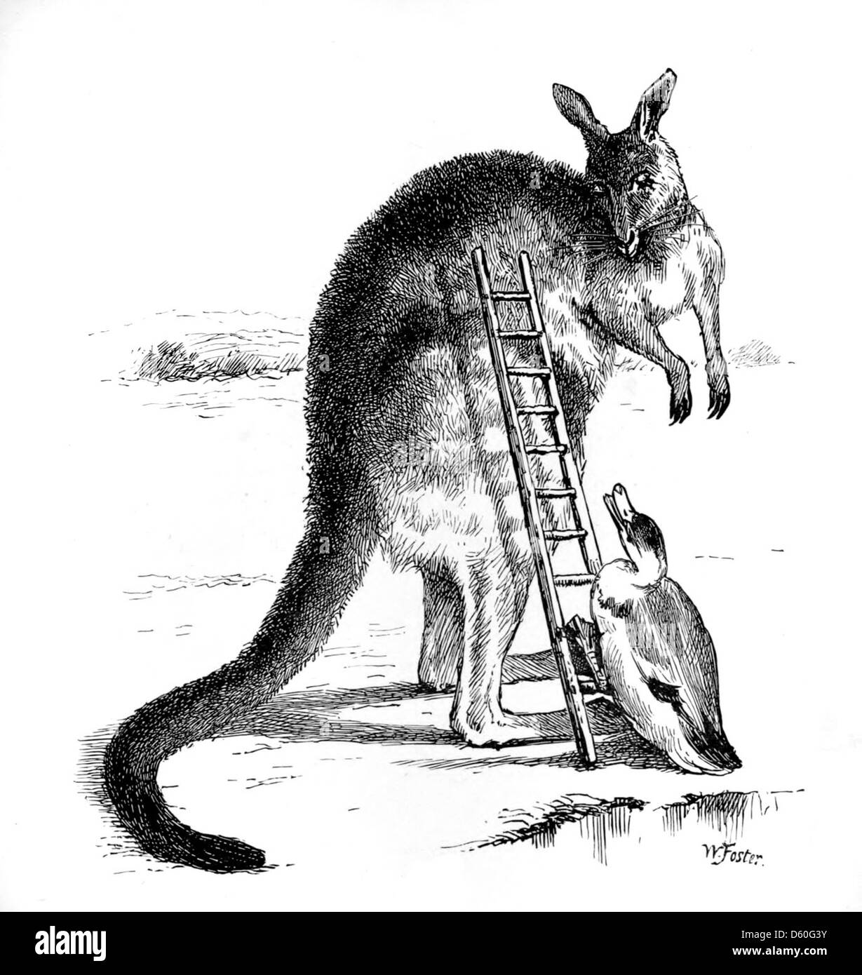 This illustration by Edward Lear from 'Nonsense Drolleries' features whimsical drawings of a ...