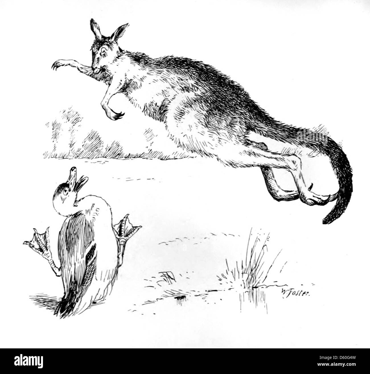 This illustration from Edward Lear’s *Nonsense Drolleries* depicts whimsical characters ...