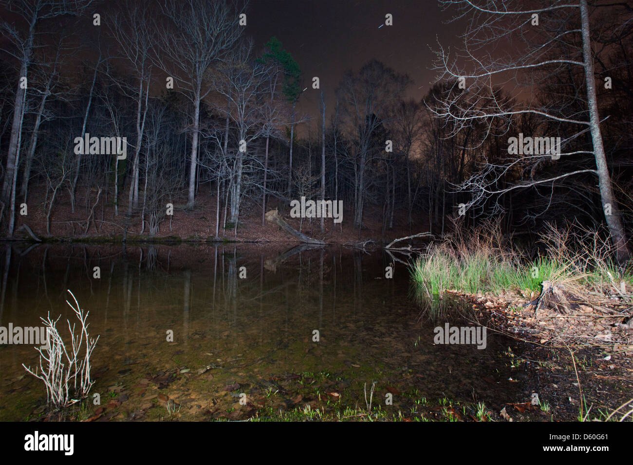 A cove on Lake Norman, NC at night Stock Photo - Alamy