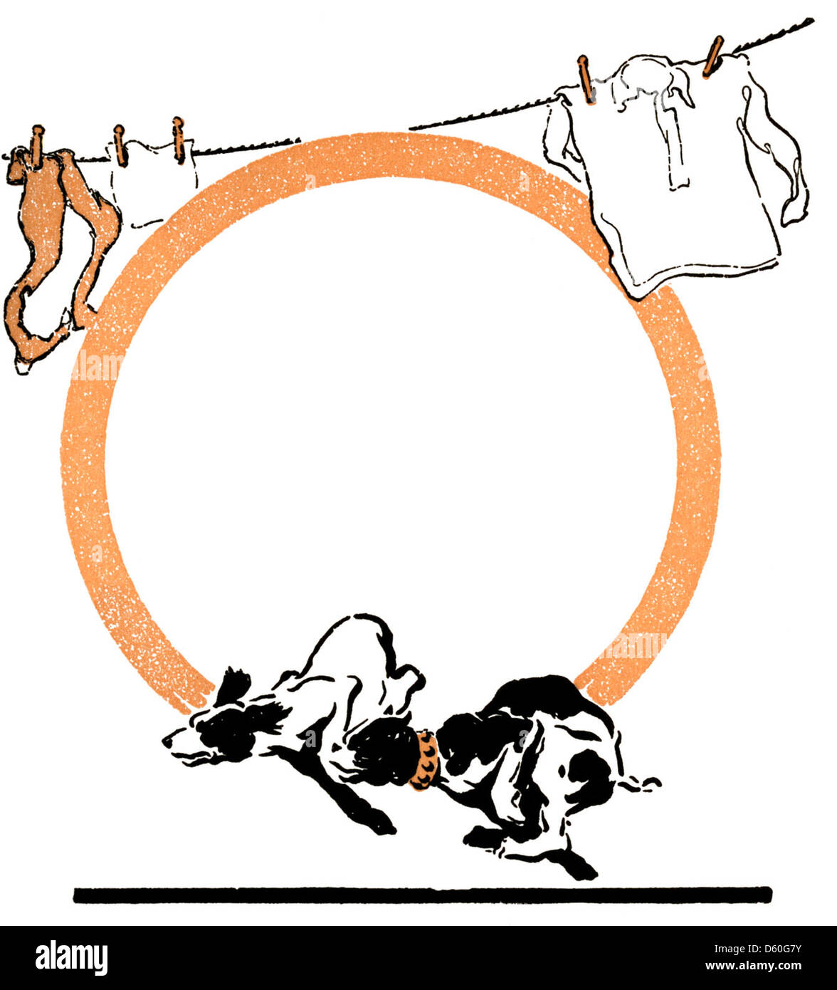 Cats dogs from animal Cut Out Stock Images & Pictures - Alamy