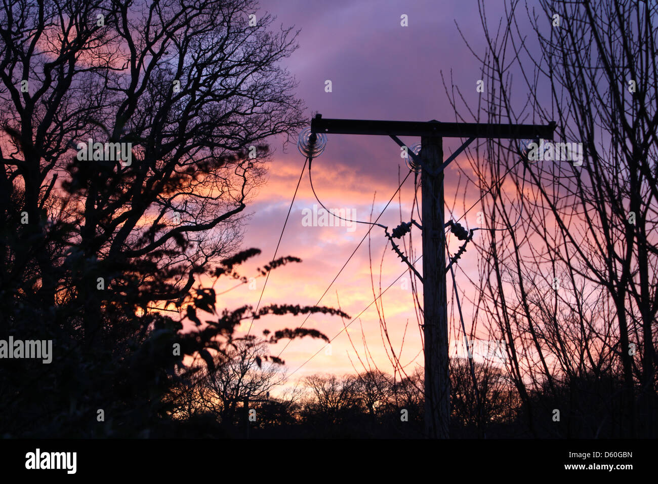 power lines and trees at sunset in wales, great britain, uk Stock Photo ...