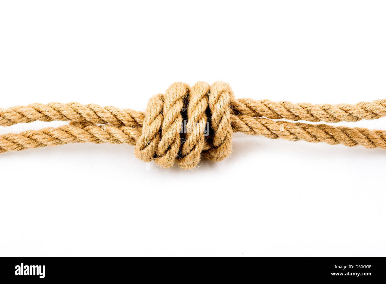 Cow knot hi-res stock photography and images - Alamy