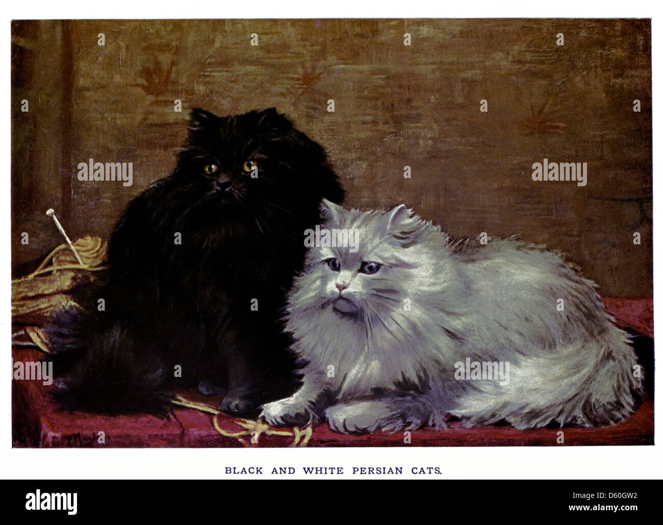 This image is from 'The Book of the Cat' (1903), which explores the ...