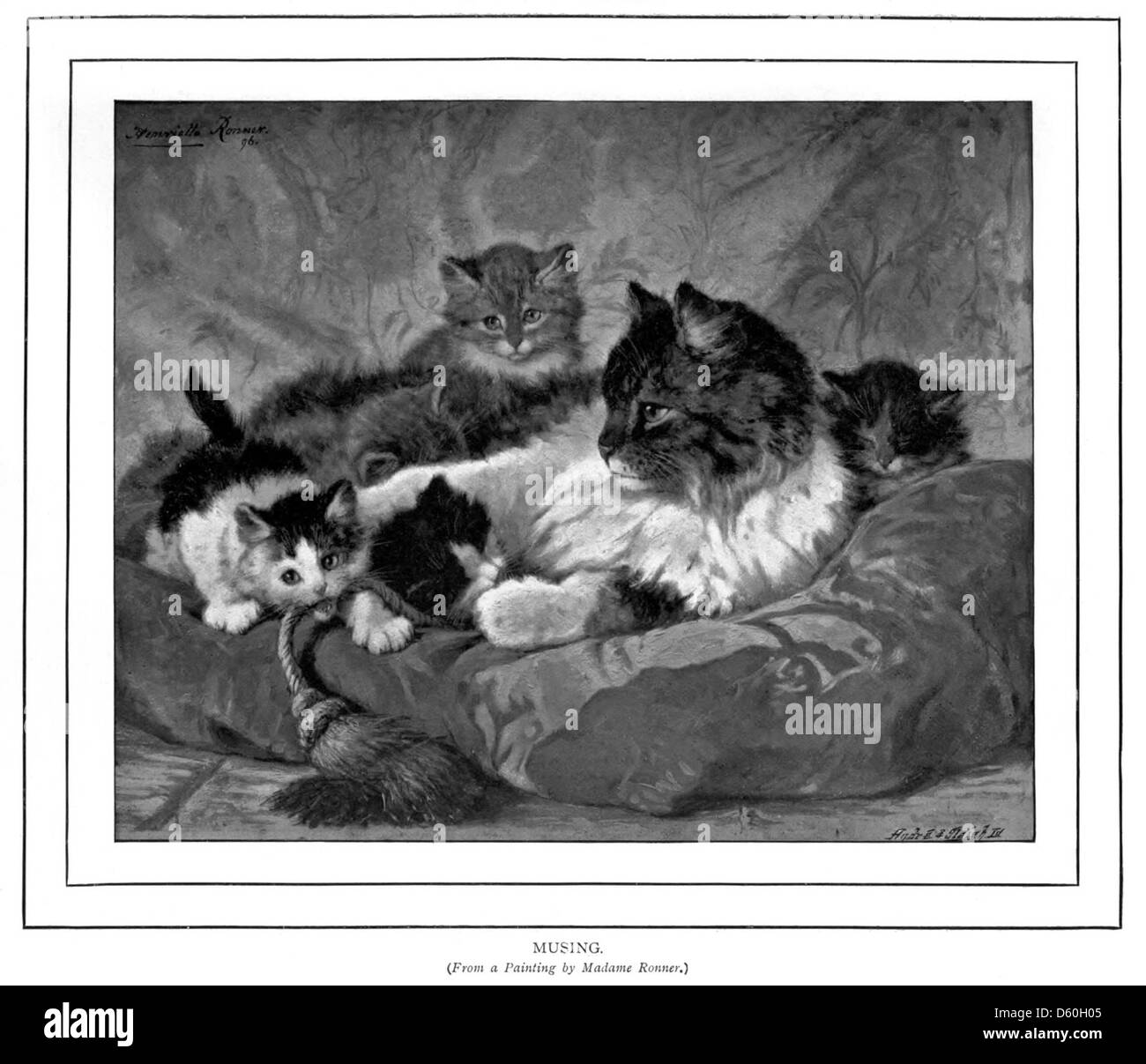 Early 1900s cats hi-res stock photography and images - Alamy
