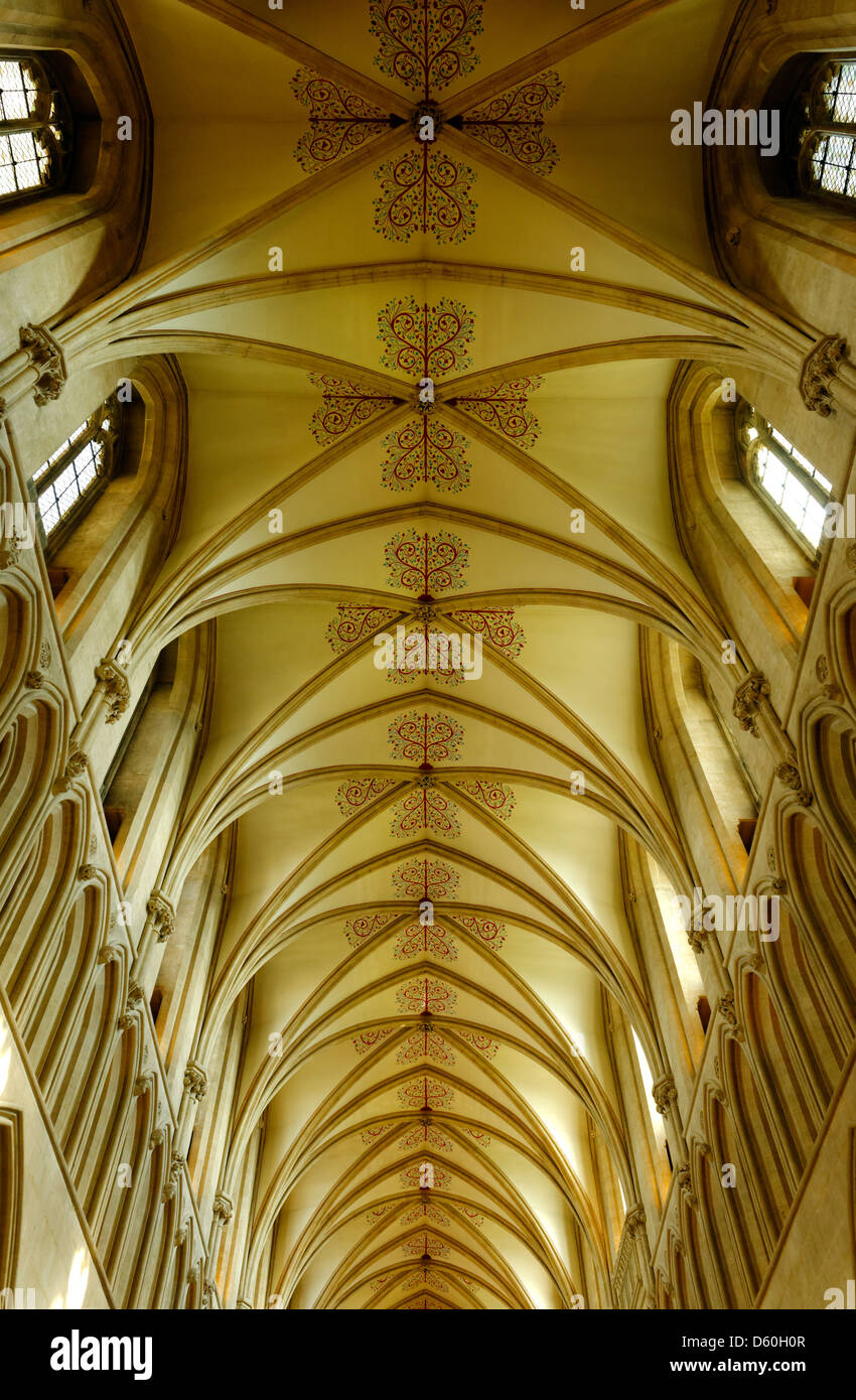Ceiling ribs hi-res stock photography and images - Alamy