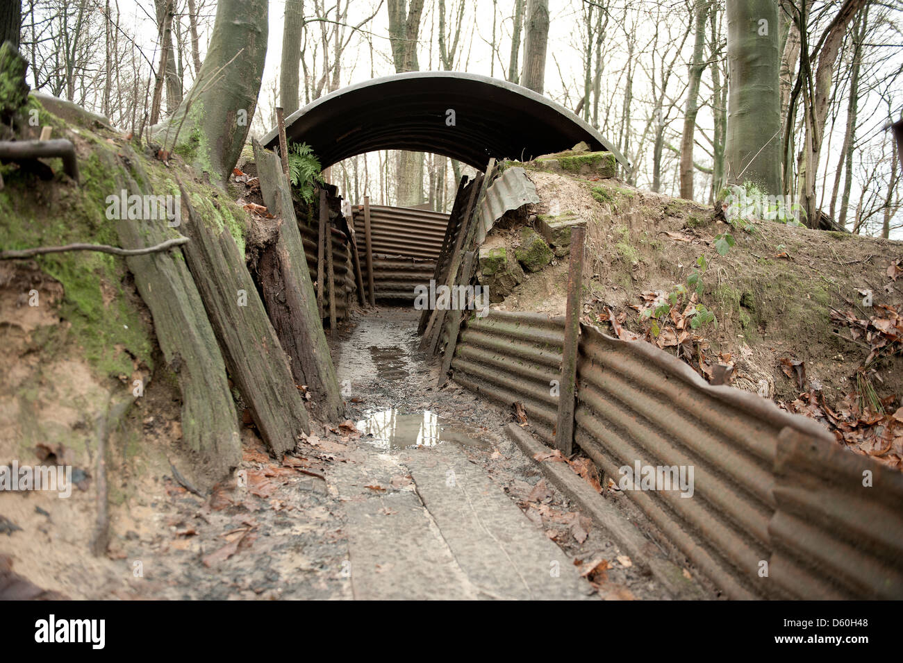 The World War One trench system at Sanctuary Wood near Ypres in Belgium ...