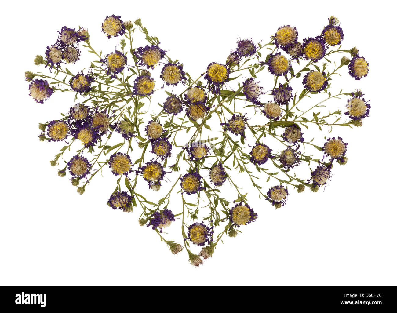 Dry dead heart concept Stock Photo - Alamy